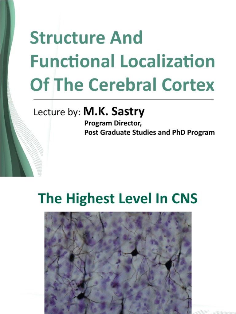 Structure and Functional Localization of The Cerebral Cortex - 1 | PDF ...