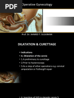 Outline Procedure For Tahbso | PDF | Uterus | Vagina