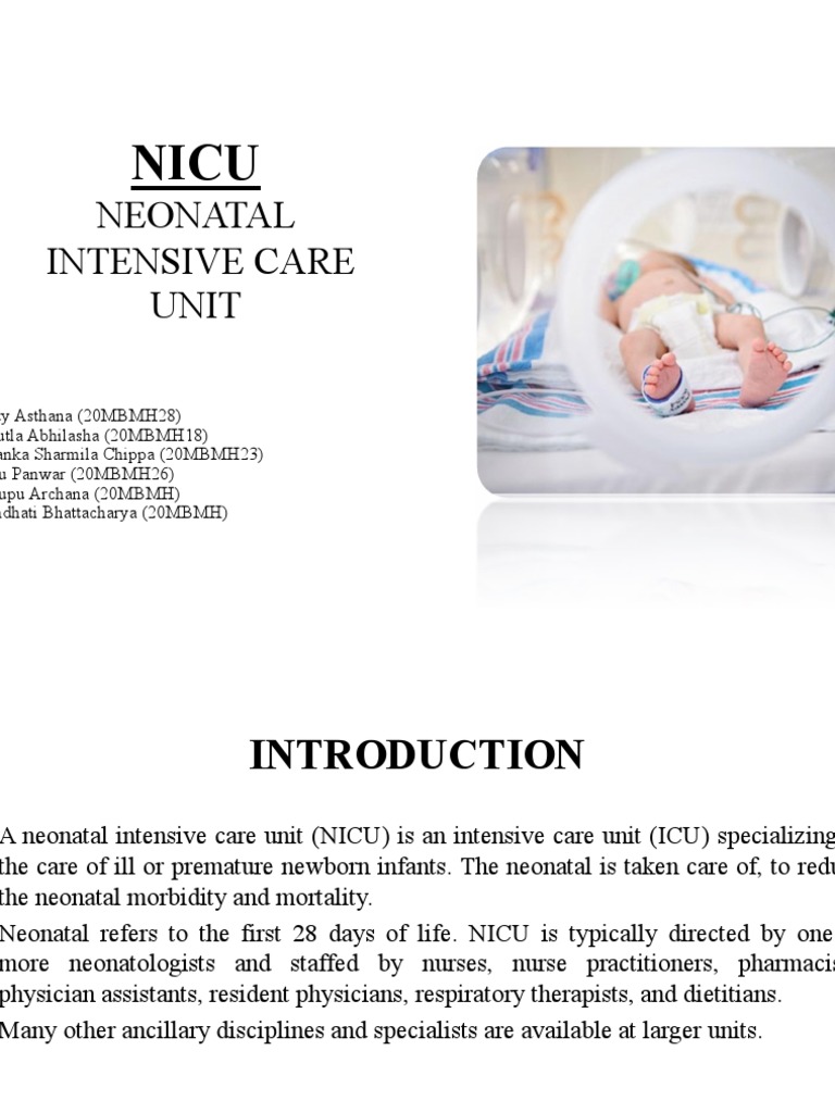 Nicu | PDF