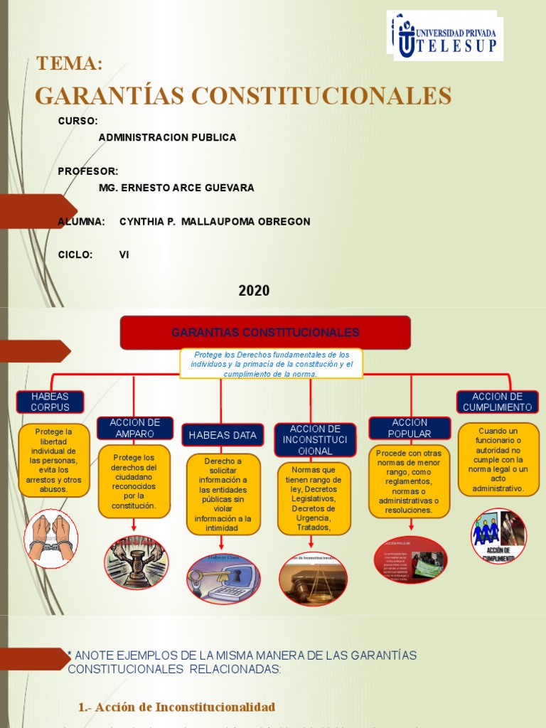Garantias Constitucionales Pdf Derecho Constitucional Ley Pública