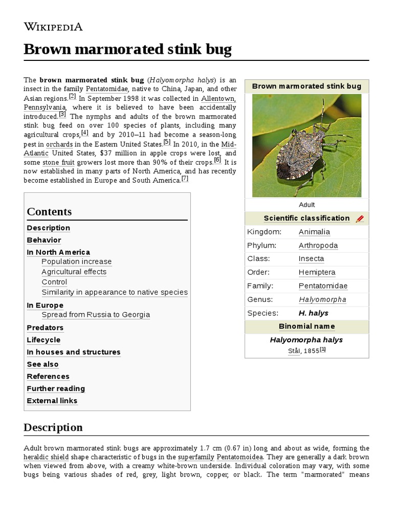 Brown Marmorated Stink Bug | PDF | Insects | Agriculture