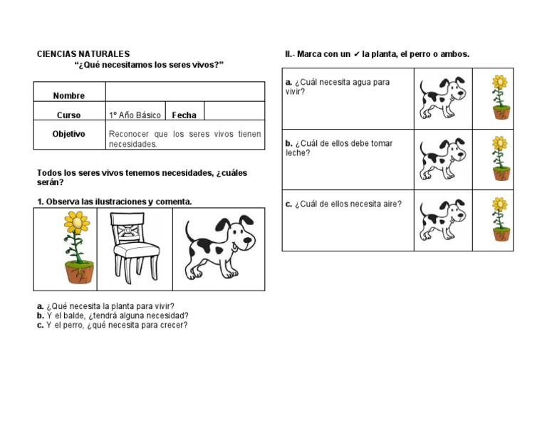 Ficha 3 | PDF | Salud y bienestar | Ciencia y matemáticas