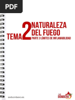 Límites de Explosividad en Mezclas Gaseosas | PDF