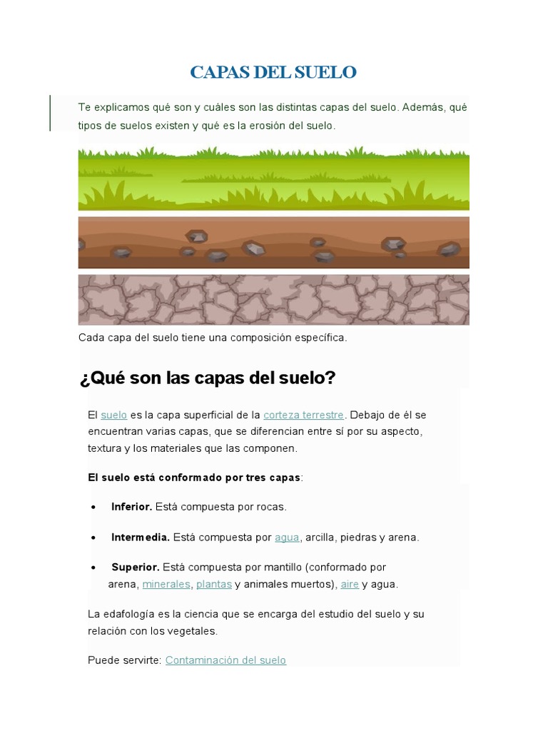 Tipos De Suelo Y Sus Capas EL SUELO, CAPAS Y TIPOS YouTube