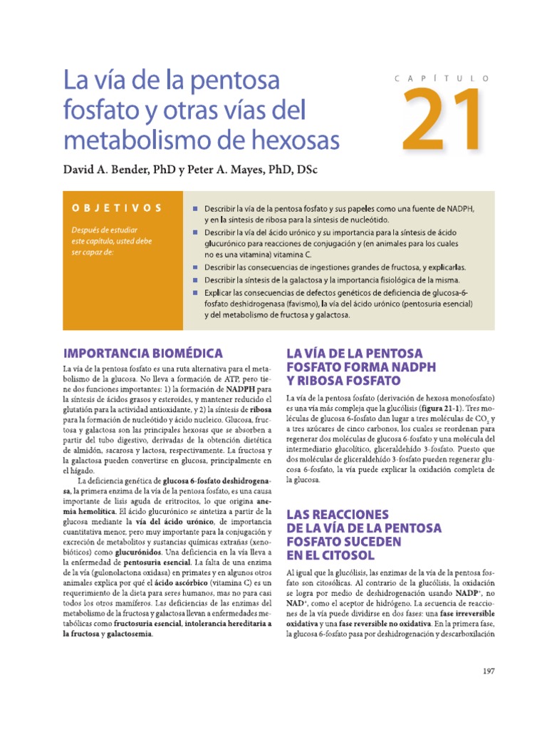 CAPÍTULO 21. La Vía de Las Pentosas Fosfato y Otras Vias Del ...