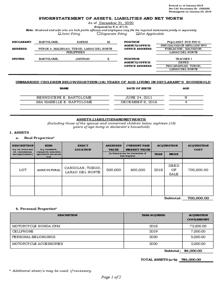 Statement of Assets Liabilities and Net Worth | PDF | Economies | Business