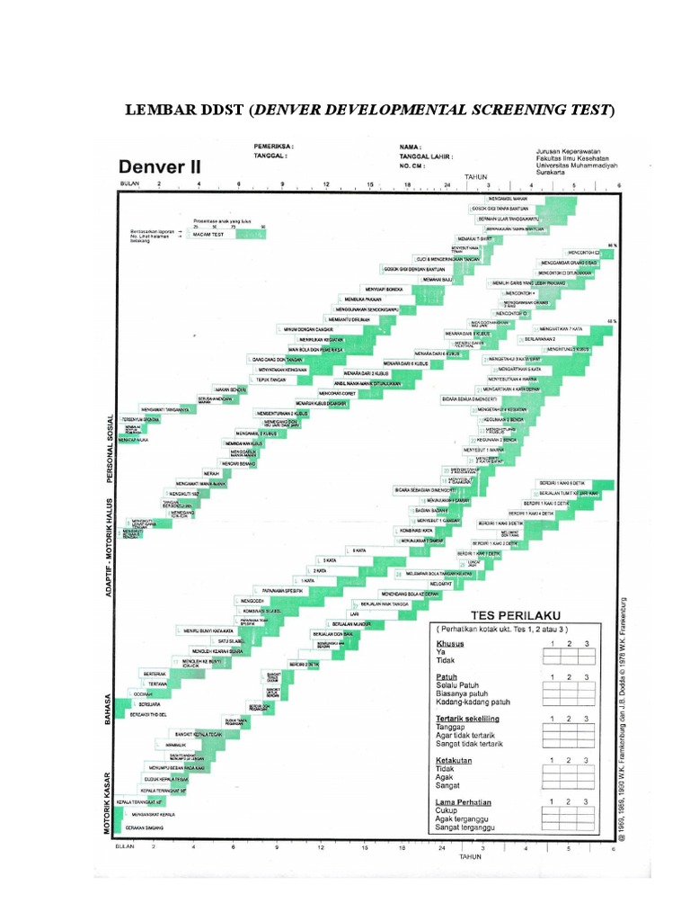 Denver Developmental Screening Test | PDF