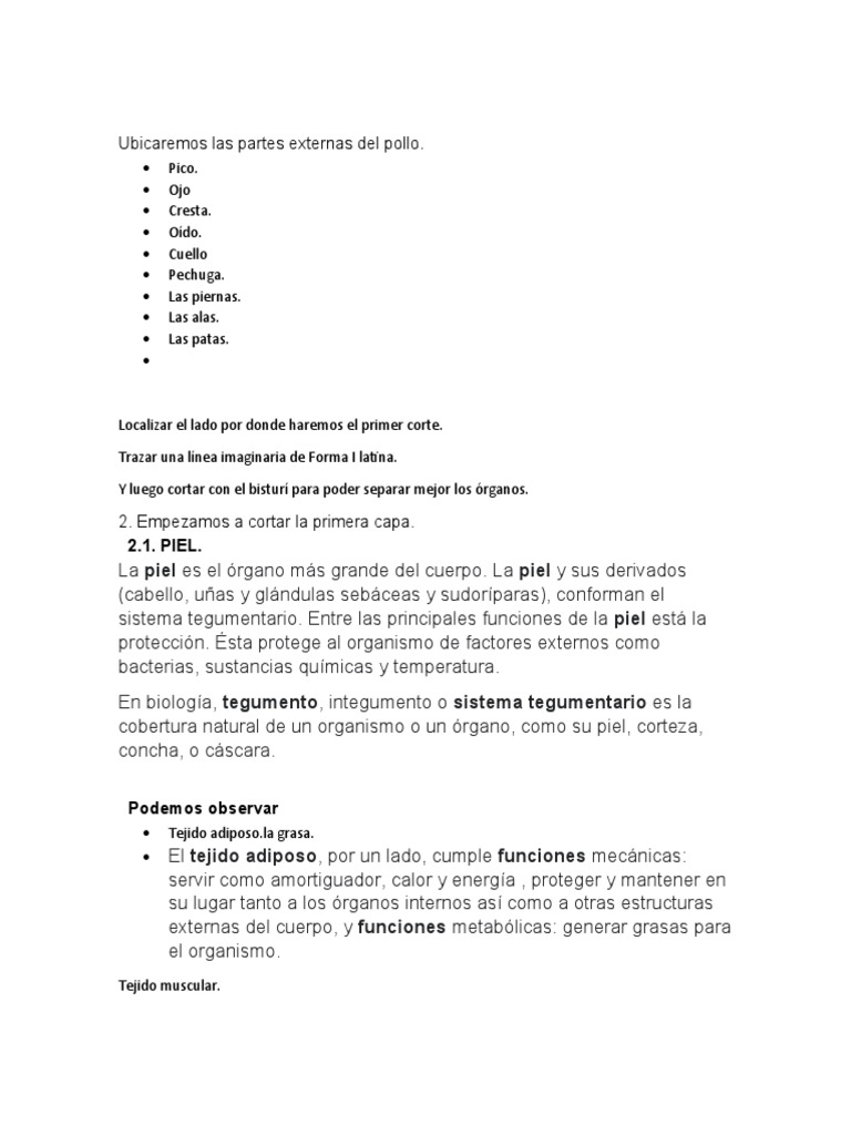 Partes externas del pollo | PDF | Sistema tegumentario | Músculo