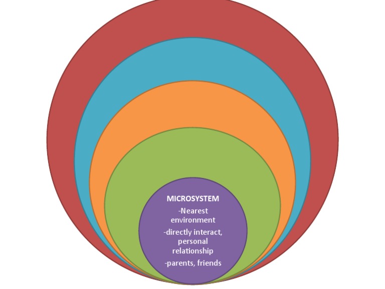 Understanding the Chronosystem | PDF | Career & Growth | Wellness