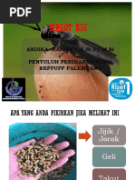 Klasifikasi dan Kebutuhan Lalat BSF | PDF