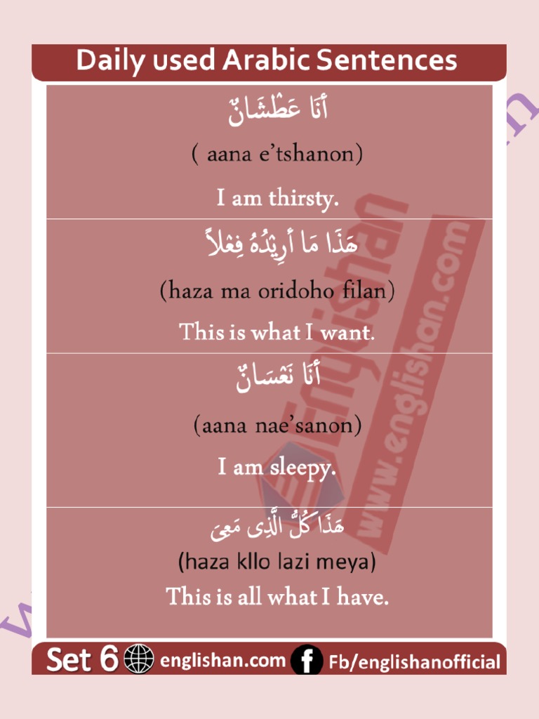 Daily Routine Arabic To English Sentences With PDF File | PDF