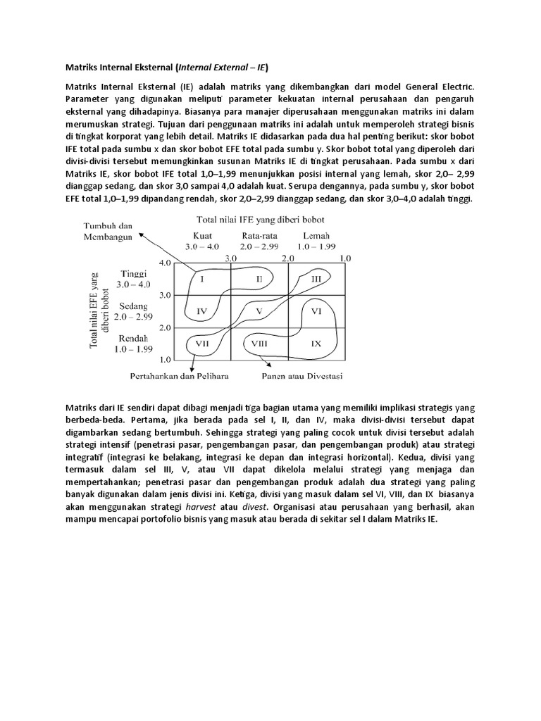 Matriks Internal Eksternal, Hal. 251-253 | PDF