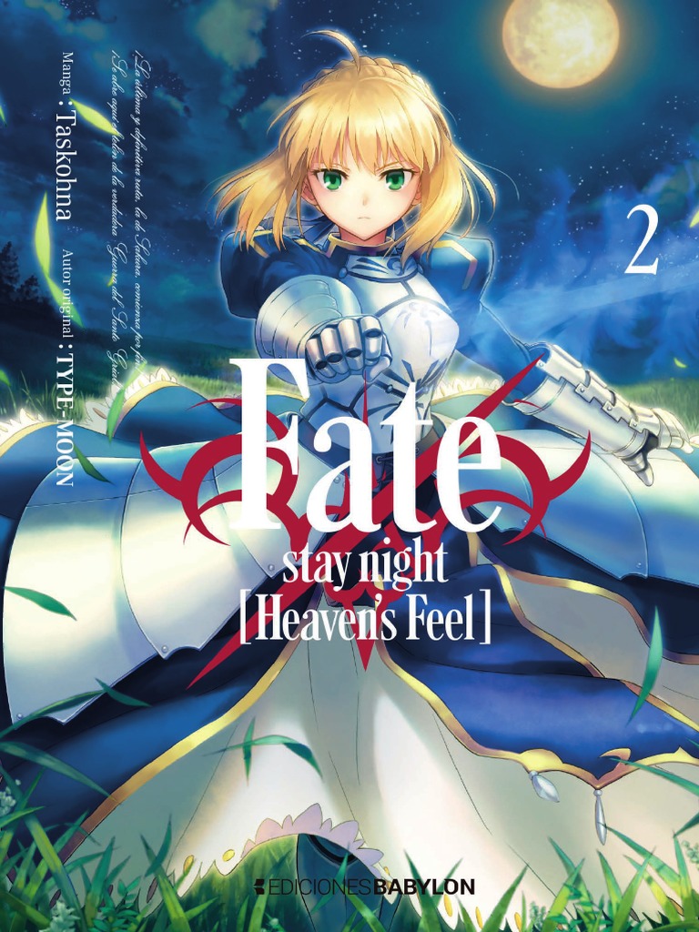 Fate Stay Night 2 | PDF