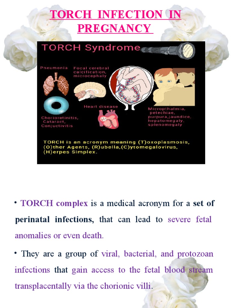 Torch Infections | PDF | Herpes Simplex | Pregnancy