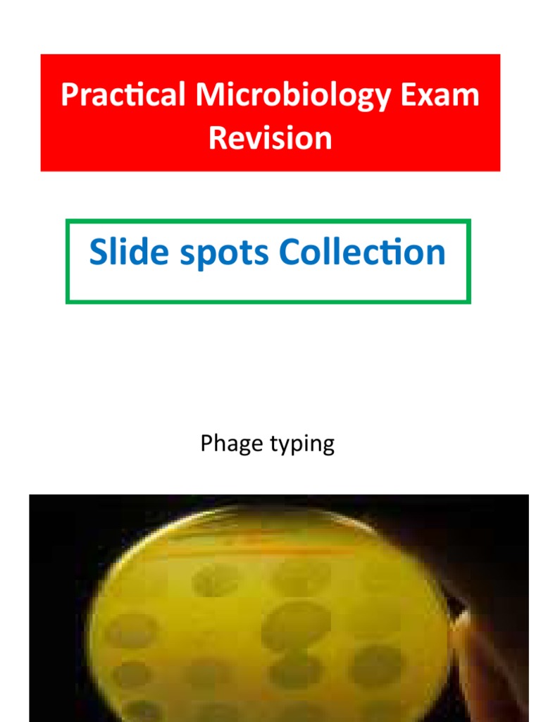 Practical Microbiology Exam Revision: Slide Spots Collection | PDF ...