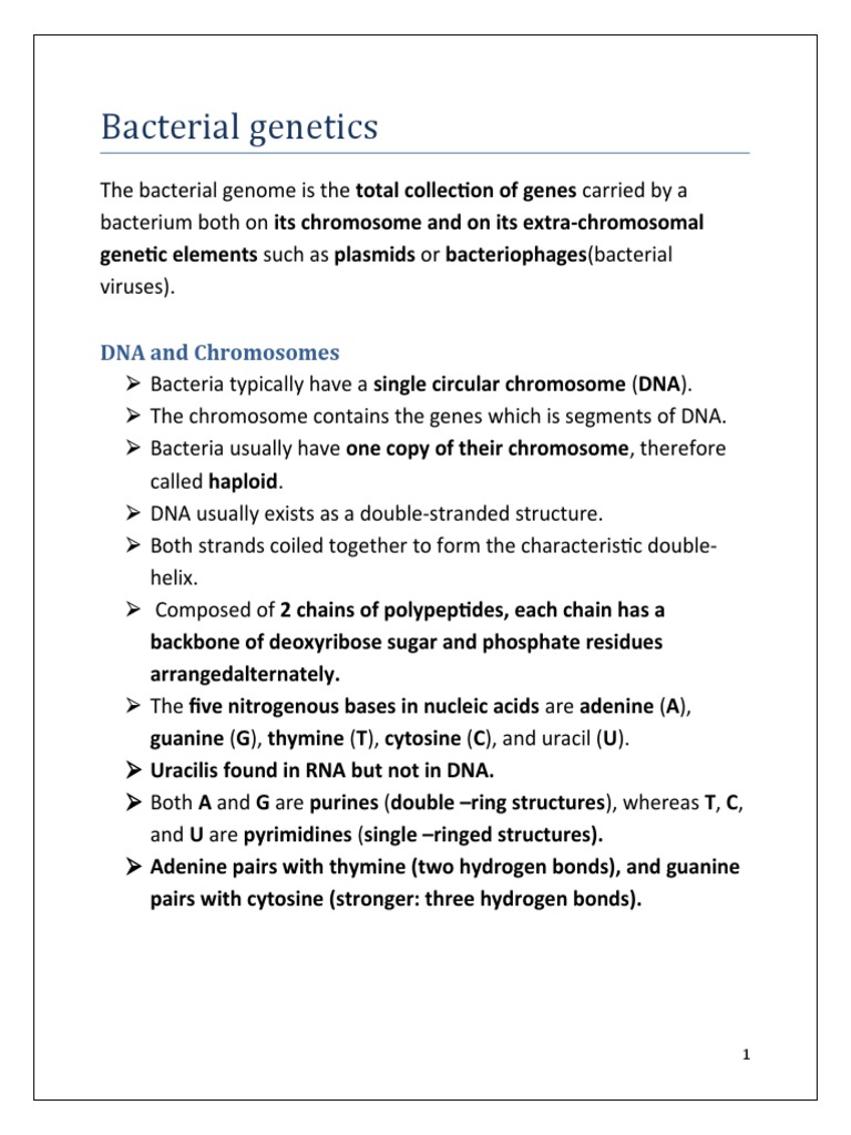 An In-Depth Look at Bacterial Genetics: DNA Structure, Replication ...