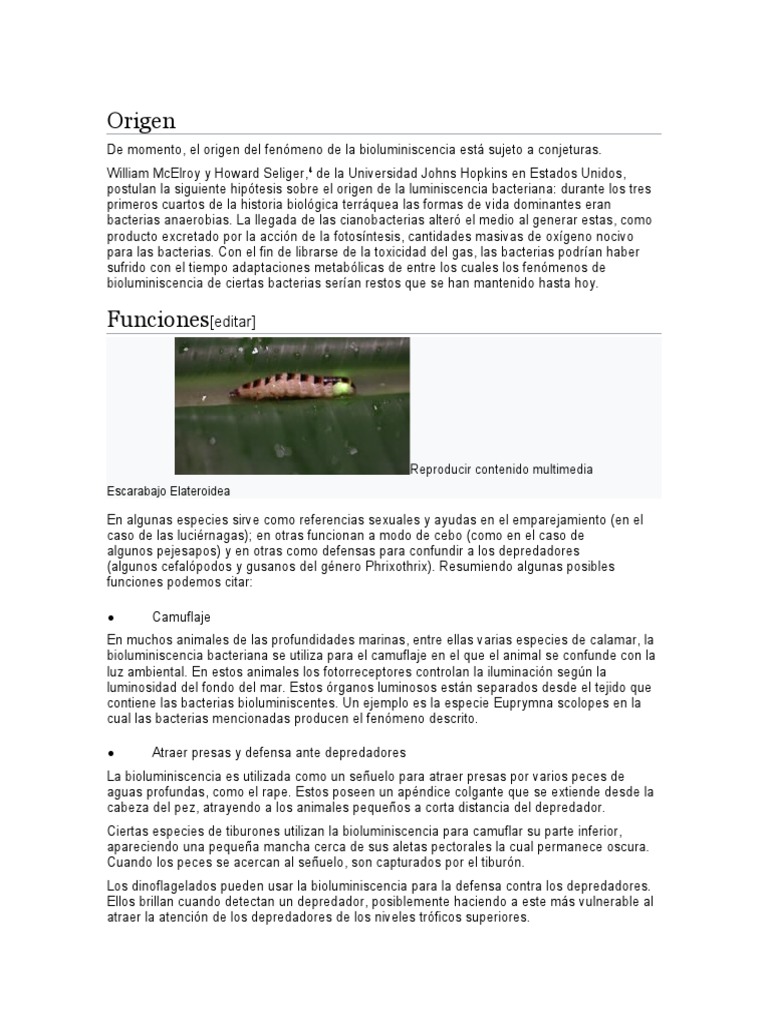 Origen y funciones de la bioluminiscencia | PDF | Proteína Verde ...