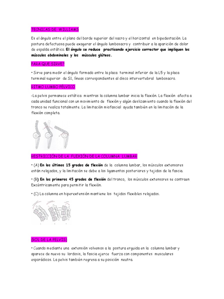 Tecnicas de Williams | PDF | La columna vertebral | Sistema ...