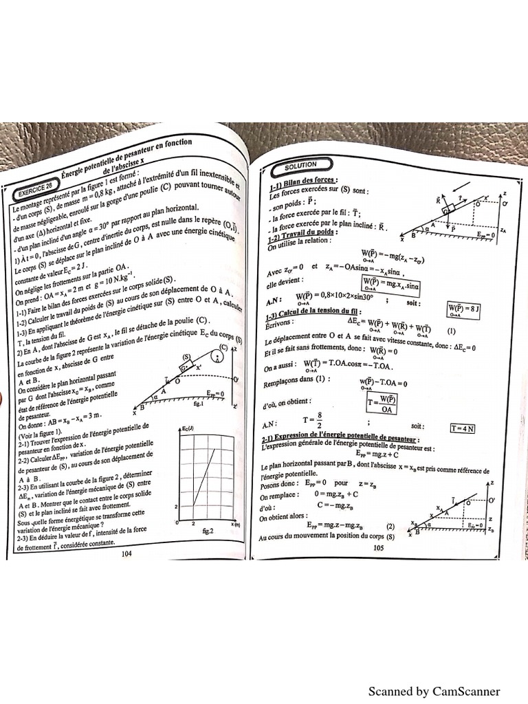 1 Bac Biof em Exos Correction | PDF