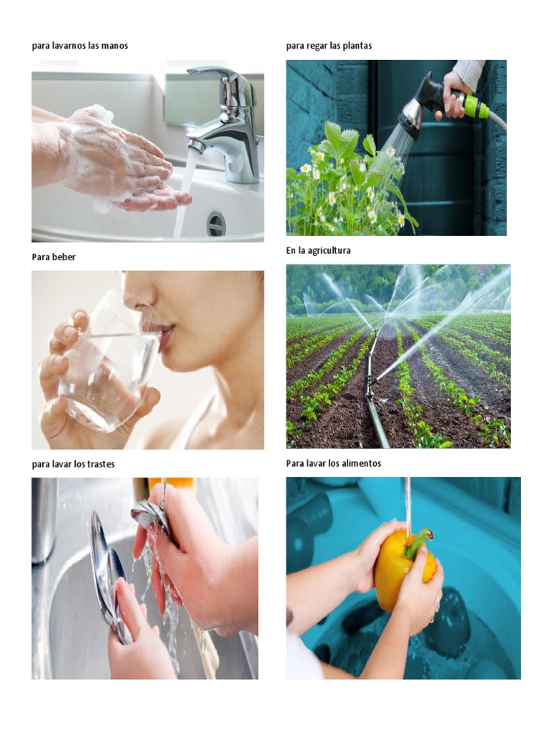 10 Usos Del Agua | PDF