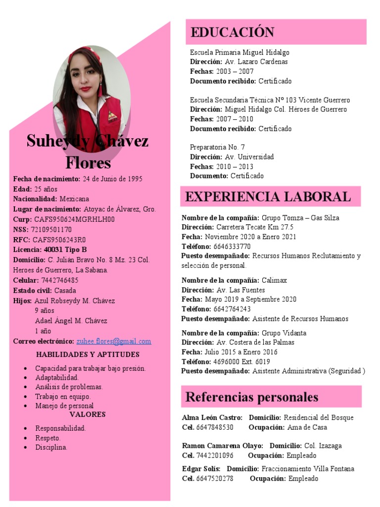 Curriculum Vitae | PDF | Educación avanzada | Business