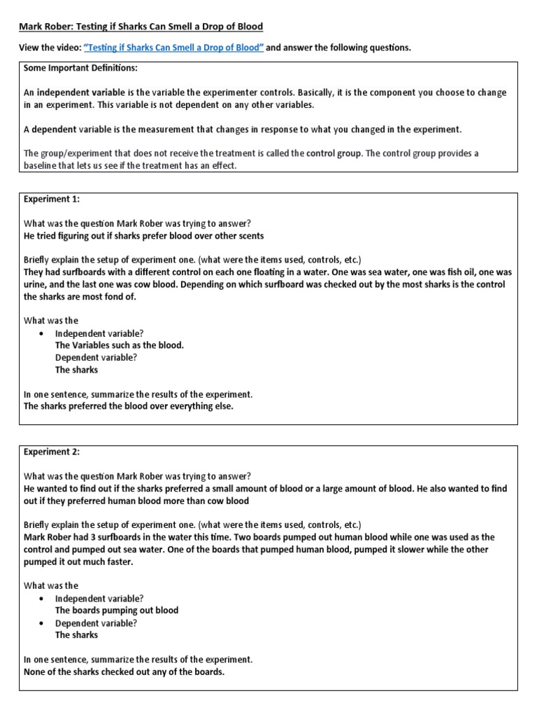 Mark Rober's Shark Blood Experiment Insights | PDF | Experiment ...