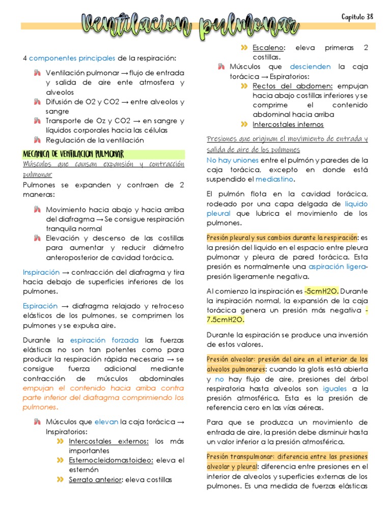 Capitulo 38 Ventilación Pulmonar | Descargar gratis PDF | Pulmón | Sistema respiratorio
