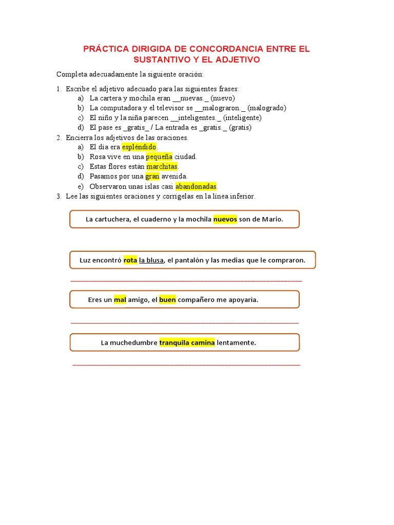 Concordancia Entre El Sustantivo y El Adjetivo | PDF