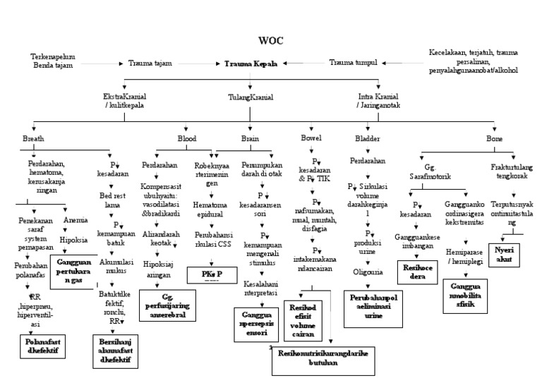 WOC Cedera Kepala | PDF