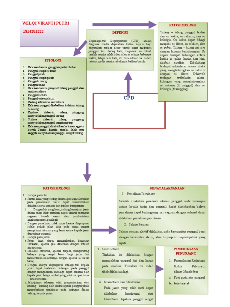 Mind Mapping CPD Welqi Viranti Putri | PDF