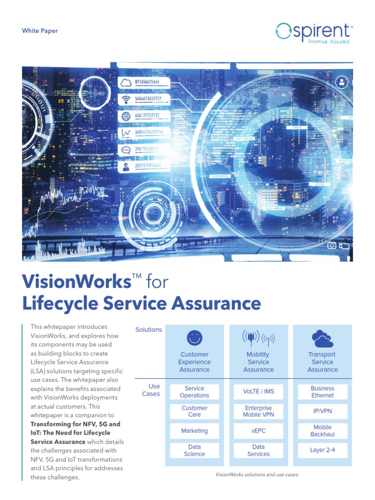 Visionworks Lifecycle Service Assurance: White Paper | Download Free ...