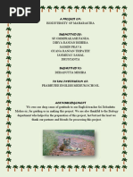 NAINA Extent Map | PDF | Economy Of India | Government Of India