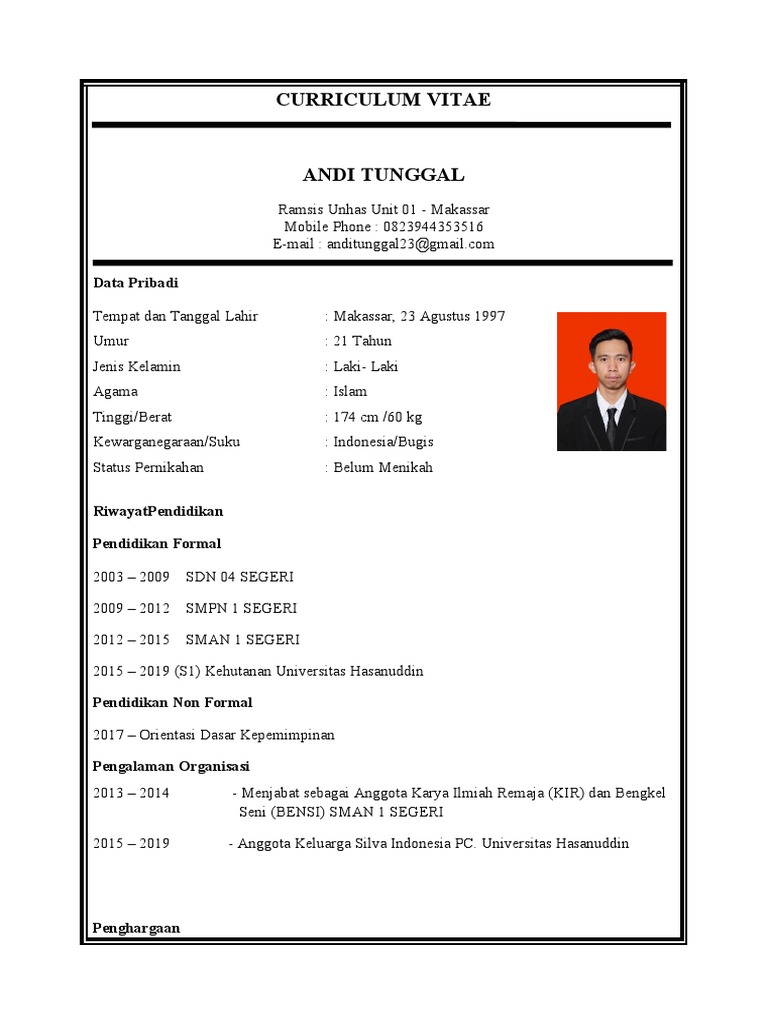 Curriculum Vitae Andi | PDF