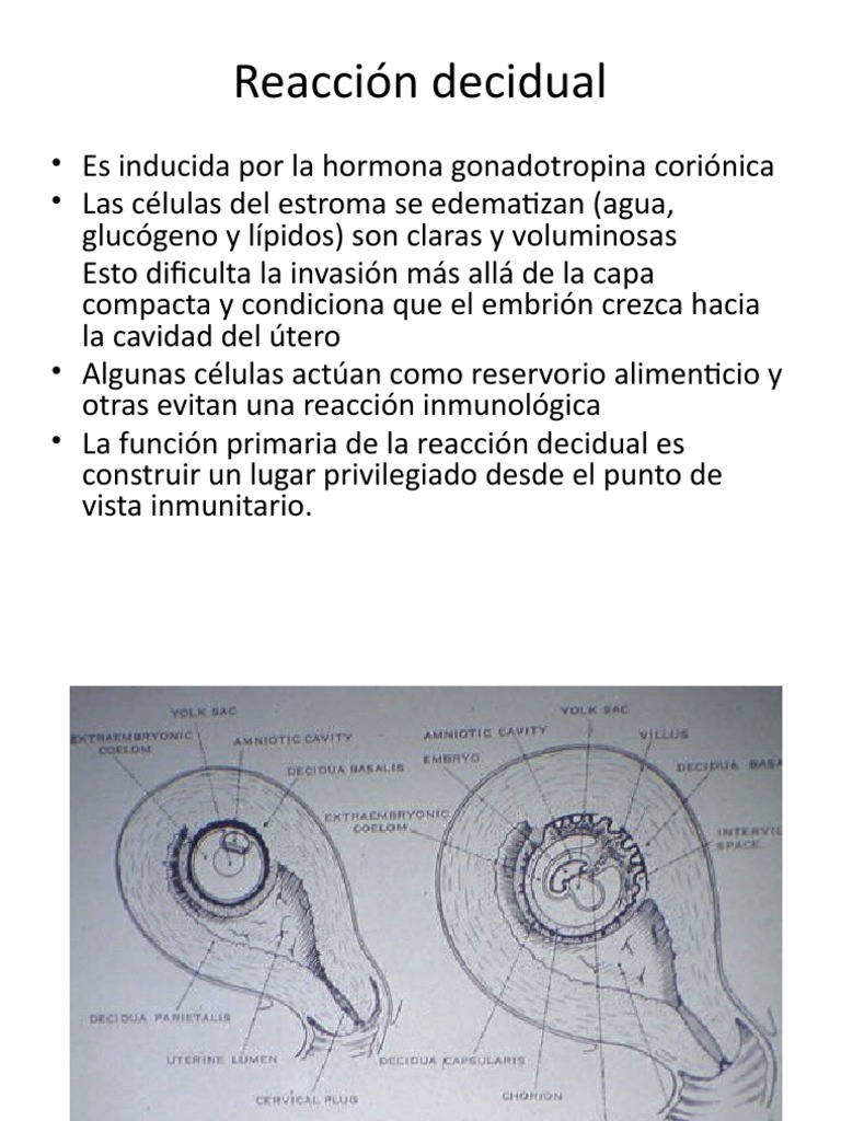 Reacción decidual
