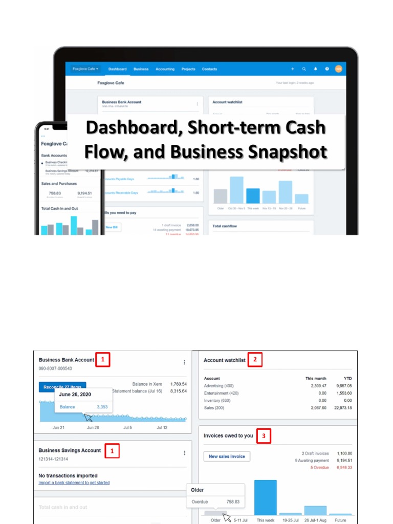 Chapter 2 - Dashboard, Short-Term Cash Flow, and Business Snapshot ...