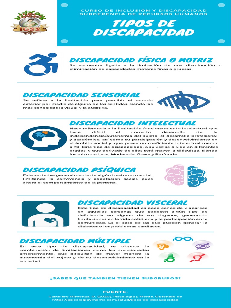 Clasificación de Tipos de Discapacidad | PDF