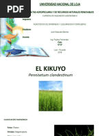 Ficha Técnica Del Pasto Imperial (Axonopus Scoparius, Hitchc) | PDF ...