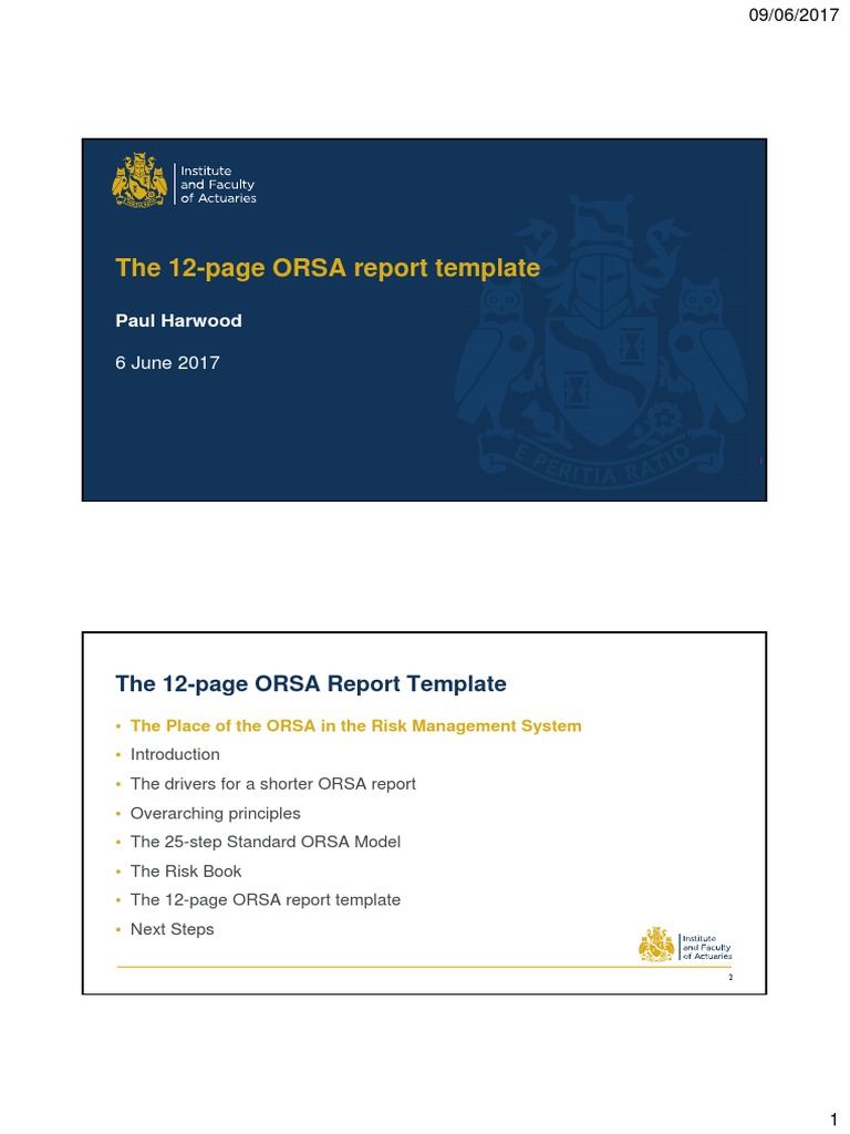 The 12 Page ORSA | PDF | Risk | Risk Management