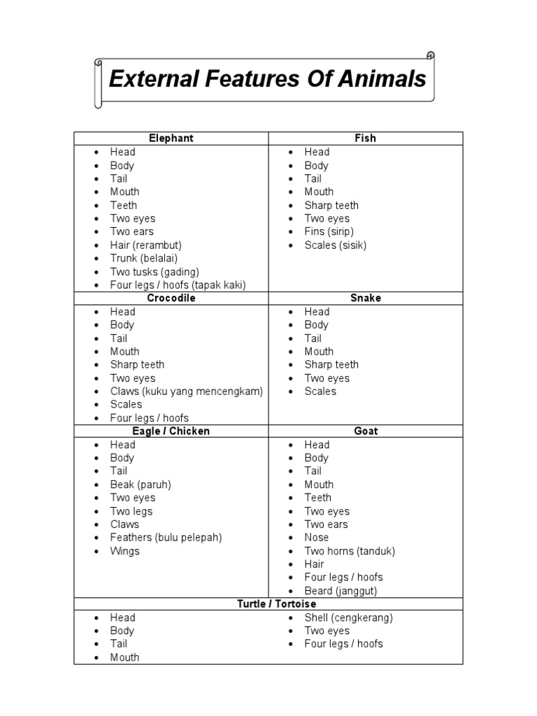 External Features of Animals | PDF