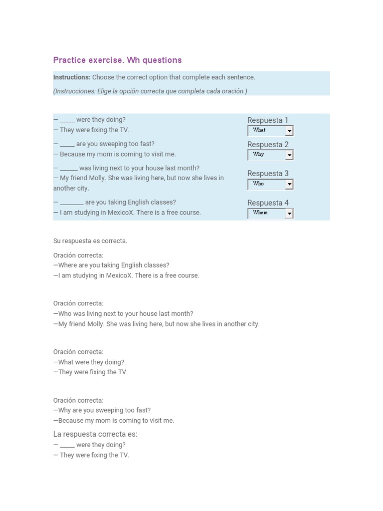 Practice Exercise. WH Questions | PDF