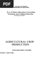 CBLM TLE-AFA LG GR. 9 Horticulture | PDF | Occupational Safety And ...