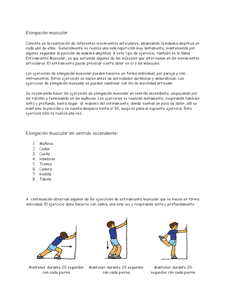 Elongación Muscular | PDF