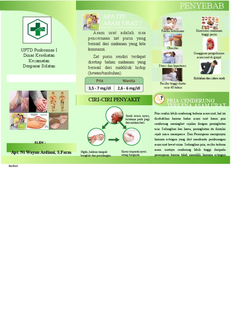 Tugas PIO Pelatihan CILOTO (Leaflet, Brosur) | PDF