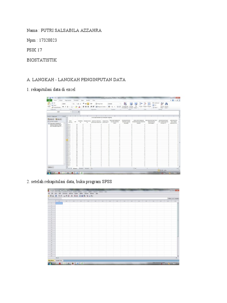 Langkah-Langkah Input Data | PDF