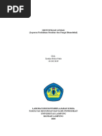 Laporan Praktikum Biokimia I Hidrolisis Pati Secara Kimiawi Dan Enzimatis | PDF