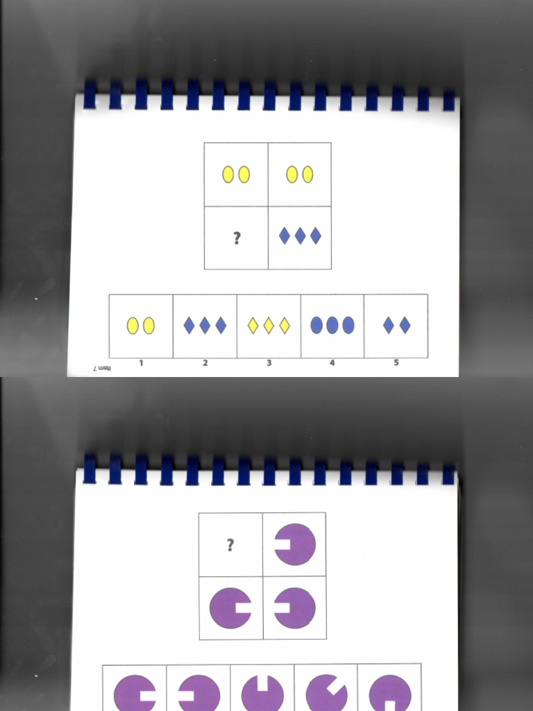 2da Parte Matrices Wisc V | PDF