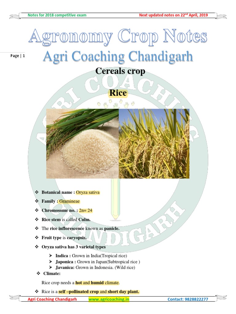 Agronomy Crop Notes (Sample) | PDF | Wheat | Maize