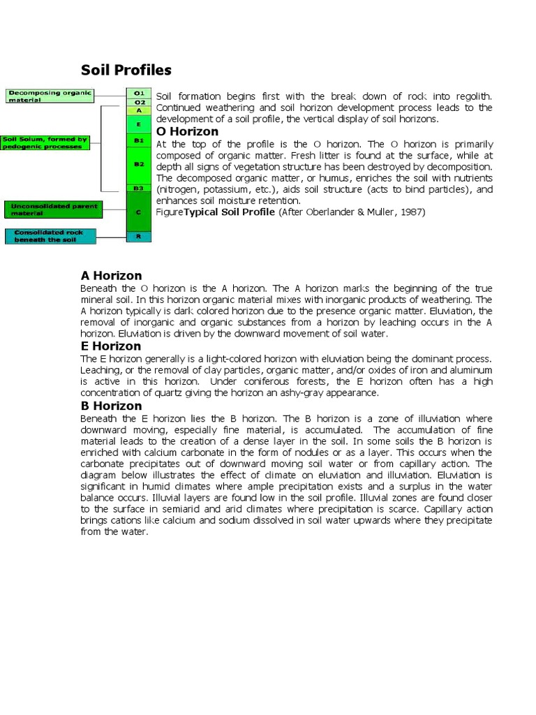 5.3 Soil Profiles | PDF | Soil Science | Soil