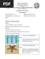 Interact and Interdependence | PDF | Grassland | Ecology