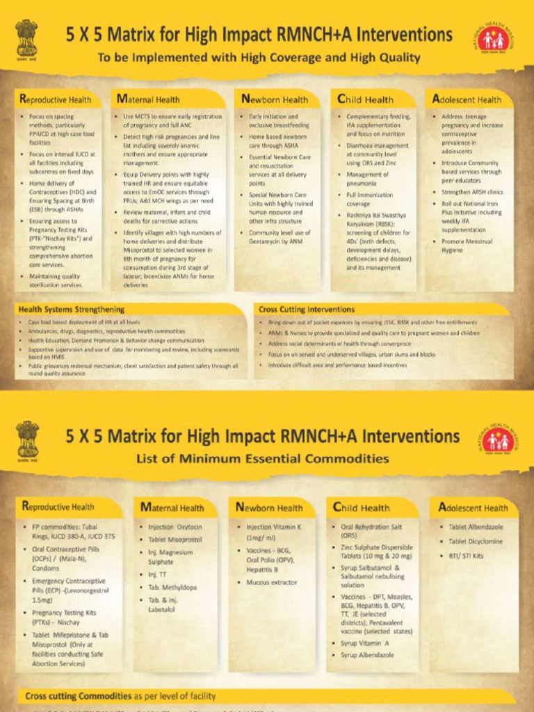 Revised 5x5 Matrix National Health Mission | PDF